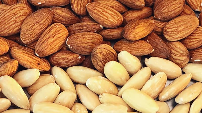 Mandle jako zdroj podstatných živin - Jimeto.cz