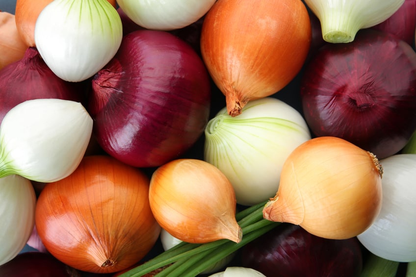 Cibule je základem kuchyně: Má nespočet druhů, každý se však hodí na ...