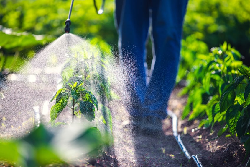 Pesticidy v zemědělství: Kvůli dopadu na životní prostředí musí být ...