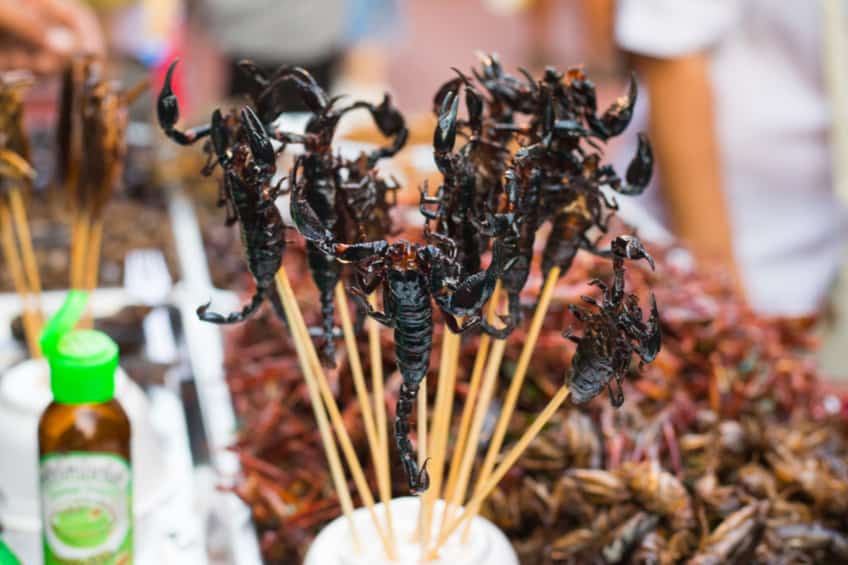 Jing Leed: Hmyz na špejli. Tuto smaženou pochoutku si každý nedopřeje ...