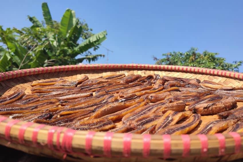 Slanina z banánové slupky. Super veganská alternativa, po které ...