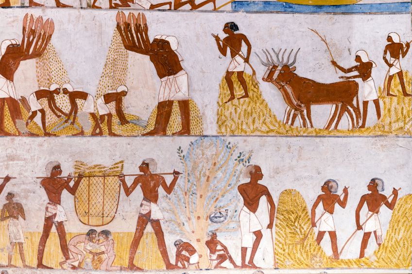 Jídlo ve starém Egyptě: Pivo pili ke všemu, někdy si dali i myši ...