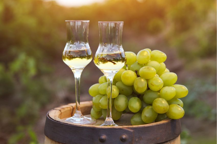 Grappa: Tradiční italský nápoj má původ v době před Kristem. Poradíme ...